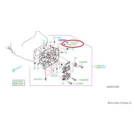 Subaru Cylinder Head Plug and Seal