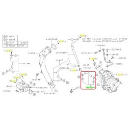 Subaru OEM Turbo Coolant Hose - 14472AA77B (19+ Ascent)