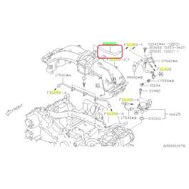 Subaru OEM Purge Solenoid Hose - 99081AA351
