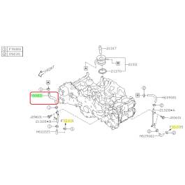 Subaru OEM Oil Cooler Hose - 99083AA440 (19+ WRX)