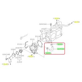 Subaru OEM Complete Coolant Hose Kit (10-12 Outback XT)
