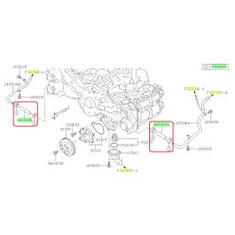 Subaru OEM Complete Coolant Hose Kit (15-19 Outback - 25B)