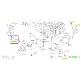 Subaru OEM Complete Coolant Hose Kit (24-25 Impreza - 20D)