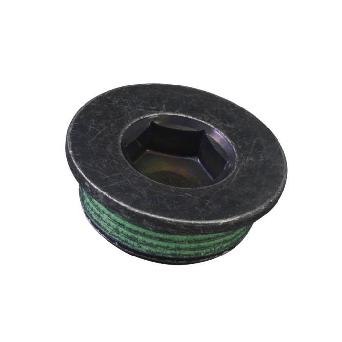 Cylinder Block Plug - Coolant